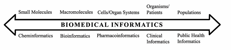 Biomedical Informatics Wmed